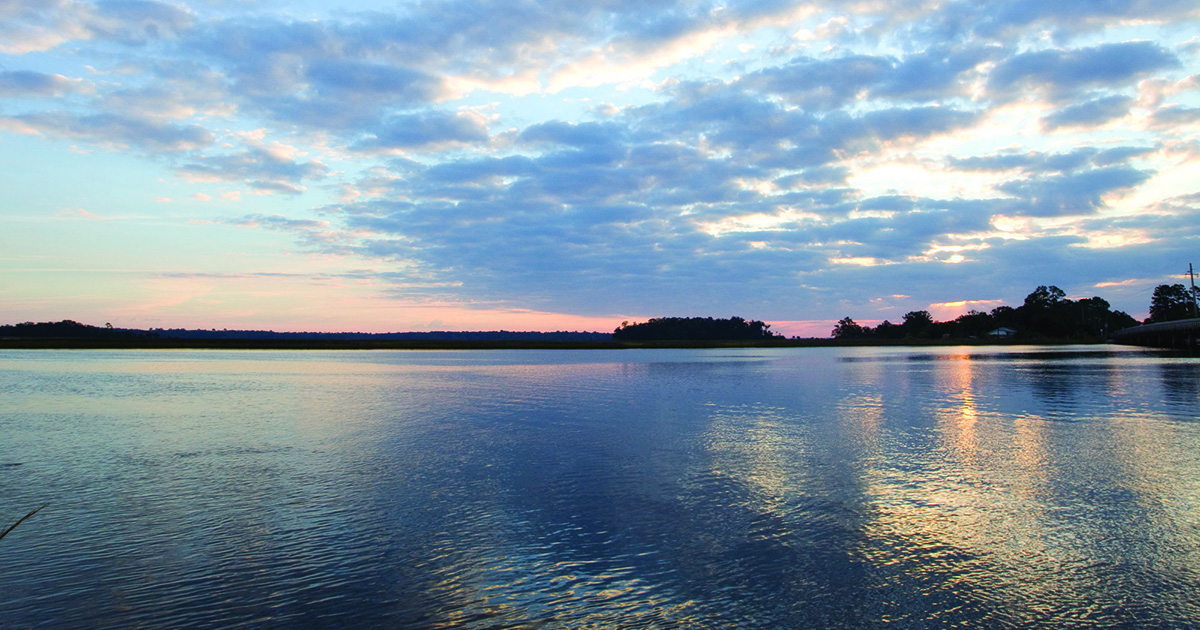 Water Sustainability | Environment | JEA