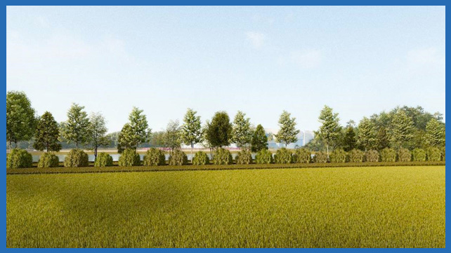 JEA H2.0 Purification Center Construction Project | Construction ...