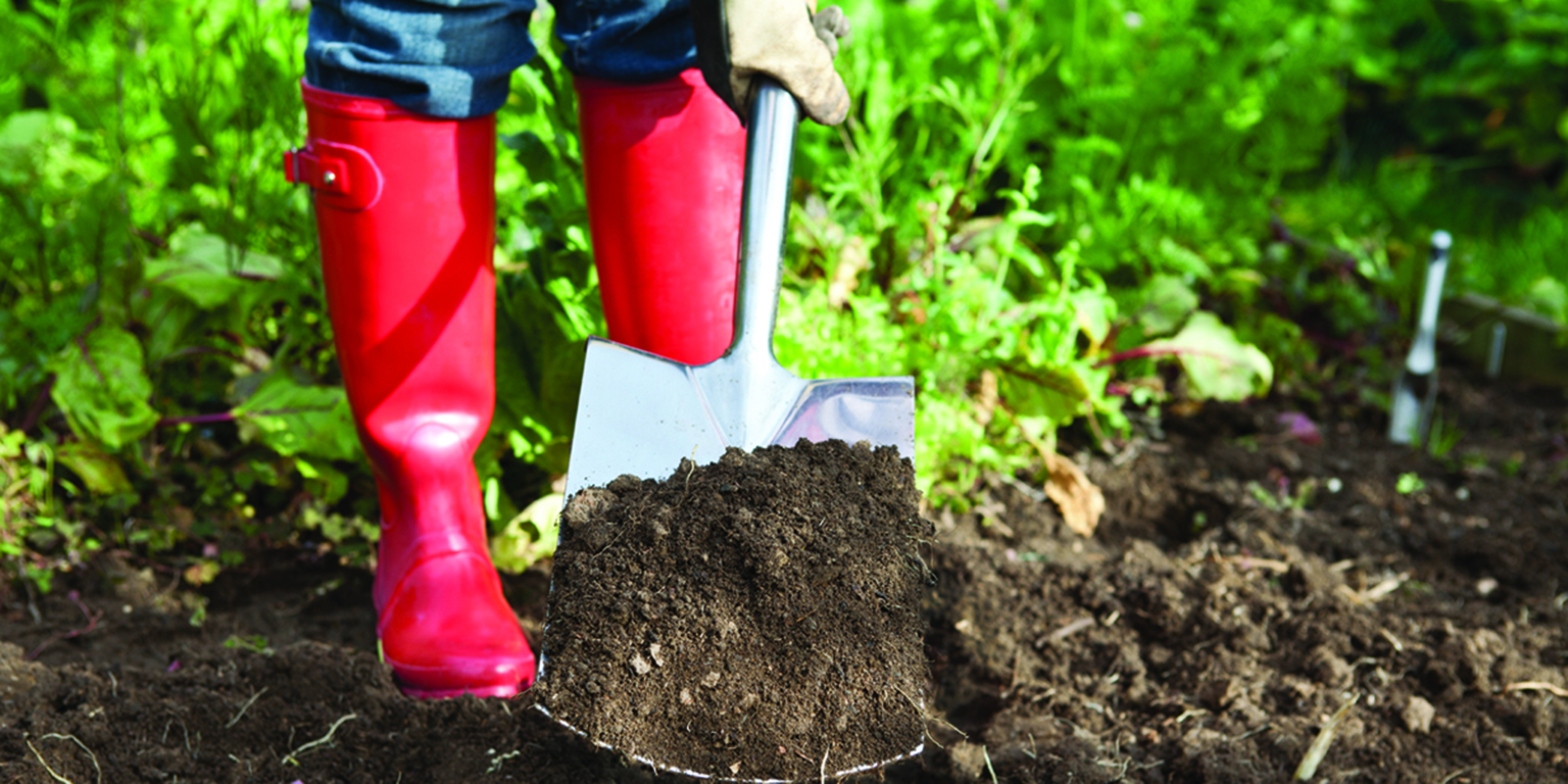 Call 811 Before You Dig | Engineering and Construction | JEA