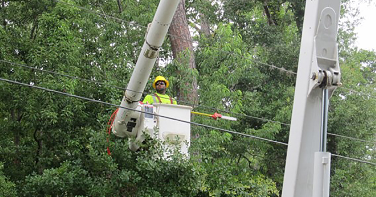 Tree Trimming | Vegetation Management | Reliability | Electric ...